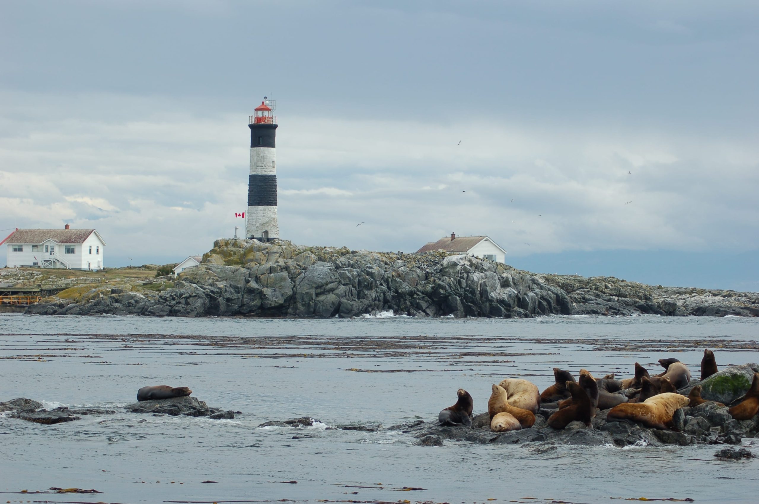 LGL – Environmental Research Company